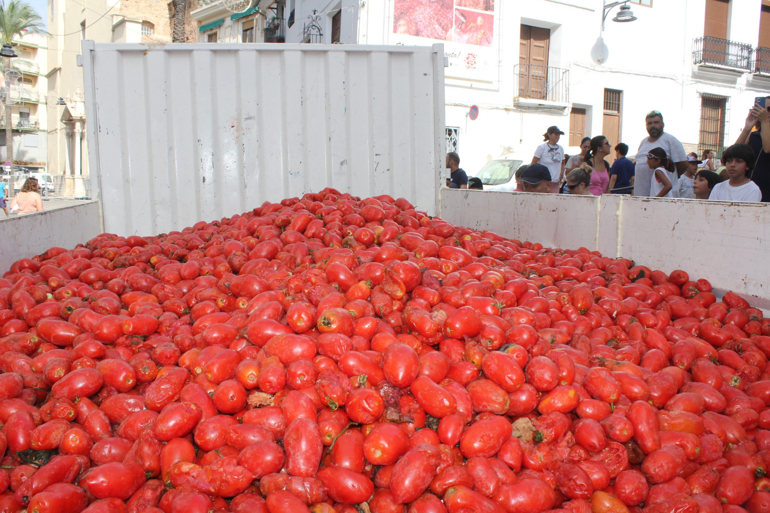 Las imágenes de la Tomatina Infantil - hoyunclick